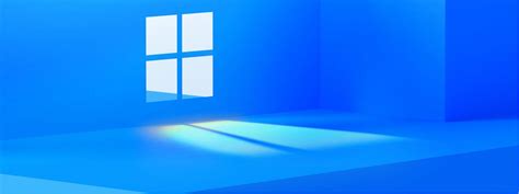 Image result for Next Windows Software