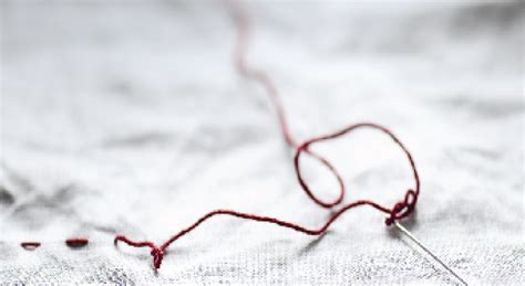 Image result for Snaking Thread Sewing