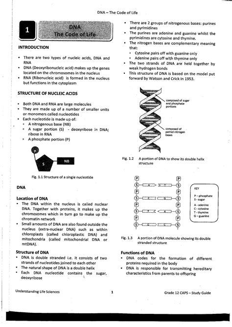 Image result for Life Science Grade 12 Textbook