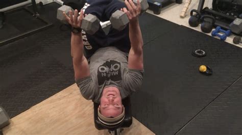 Image result for Chest Fly Proper Form