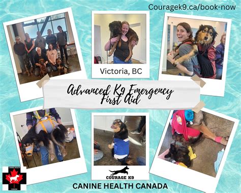 Image result for Advanced K9 Script Frobski