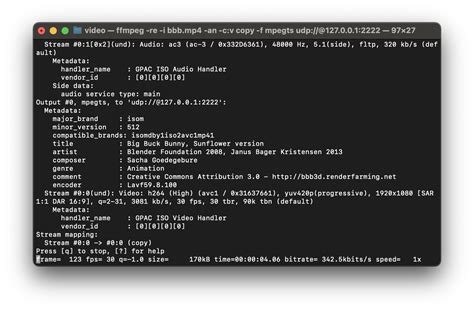 Image result for C View Video with Using Ffmpeg Sample
