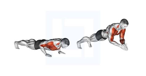 Image result for Push-Up Plus Exercise