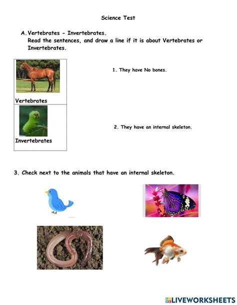 Image result for 2nd Grade Science Test Questions and Answers