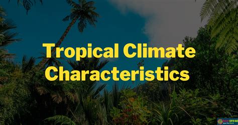 Image result for Tropical Climate Temperature Range