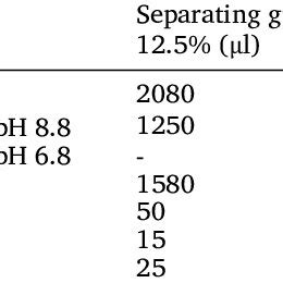Image result for Resolving and Stacking Gel Composition