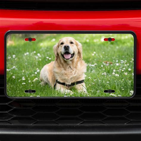 Image result for Custom License Plate Signs