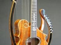 Image result for Unusual Stringed Musical Instruments Homemade