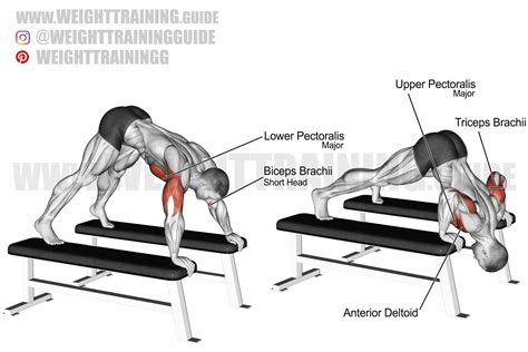 Image result for Pike Push-Up Exercise