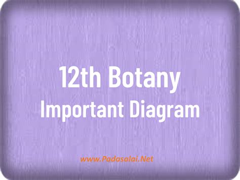 Image result for 12th Botany Important Question PDF
