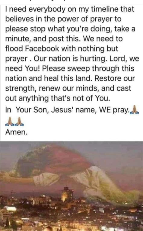 Image result for Bruce Perry Connection Is Key