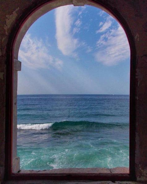 Image result for View Thru Window