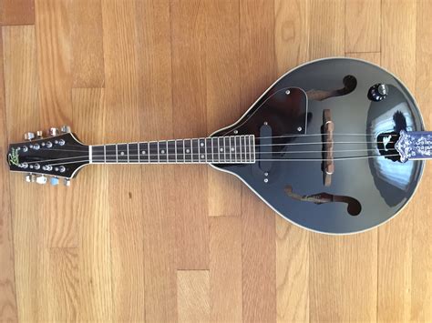 Image result for 4 String Mandolin