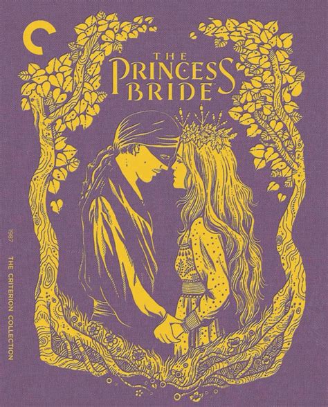 Image result for Princess Bride Cover Remakes