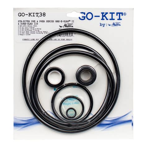 Image result for Aladdin Sta-Rite IntelliPro Go Kit