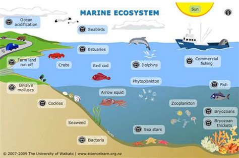 Image result for Marine Science Projects
