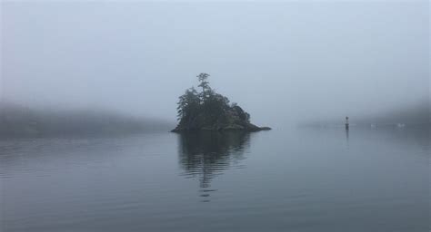 Image result for Clam Shell Island Salt Spring