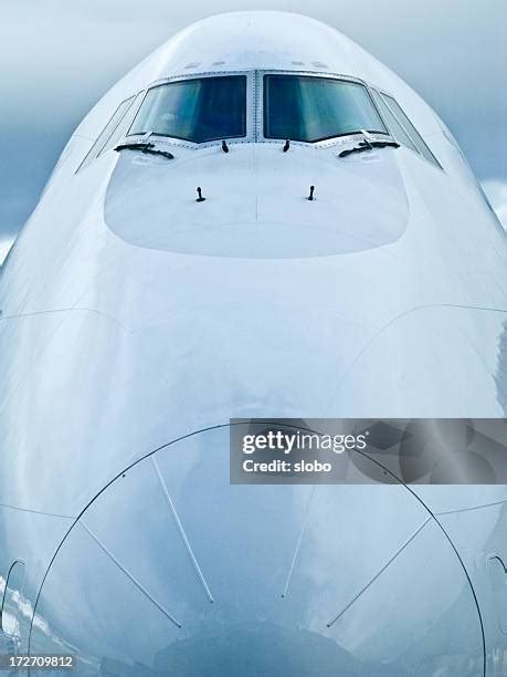 Image result for Fly Front View