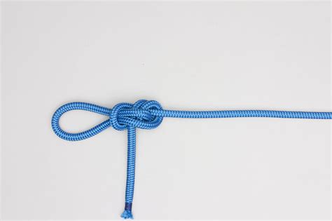 Image result for Infinity Loop Dragon