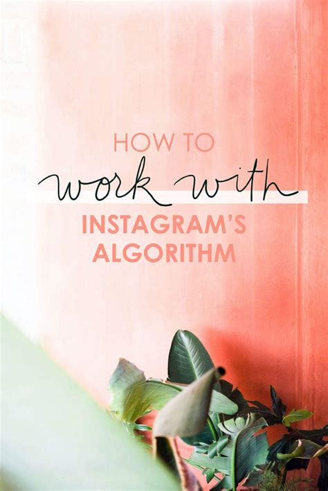 Image result for Instagram Algorithm Model for Project Work