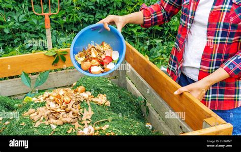 Image result for Backyard Compost Waste Process