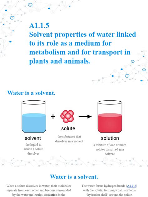IB Biology (2025) - A1.1.5 | PDF | Solvation | Water