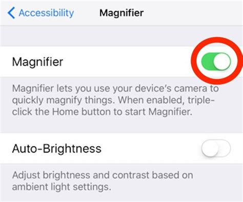 Image result for iOS Magnifier App