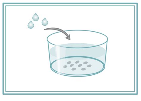 Image result for Estimation of Protein Content Using Elisa