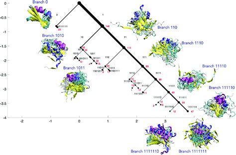 Image result for Protein Folding Simulation