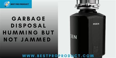 Image result for Garbage Disposal Humming