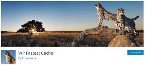 Image result for Optimize WordPress