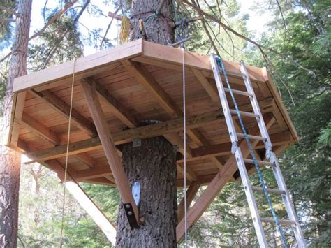 Image result for Step by Step How to Build a Treehouse