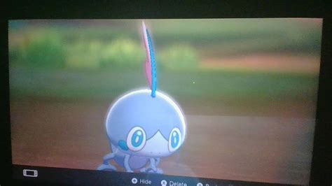 Image result for Sobble Evolves into Drizzle