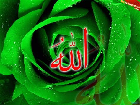 Image result for Beautiful Allah Muhammad