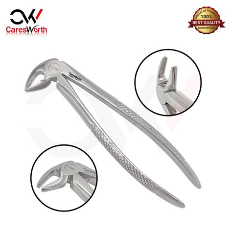 Image result for Tooth Extraction Forcep PHY