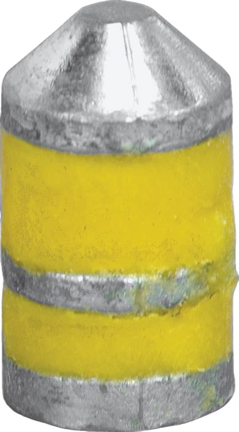 Image result for Muzzleloader Shooting Maxi Bullets