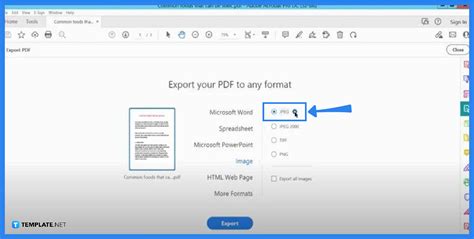 Image result for Adobe PDF Image