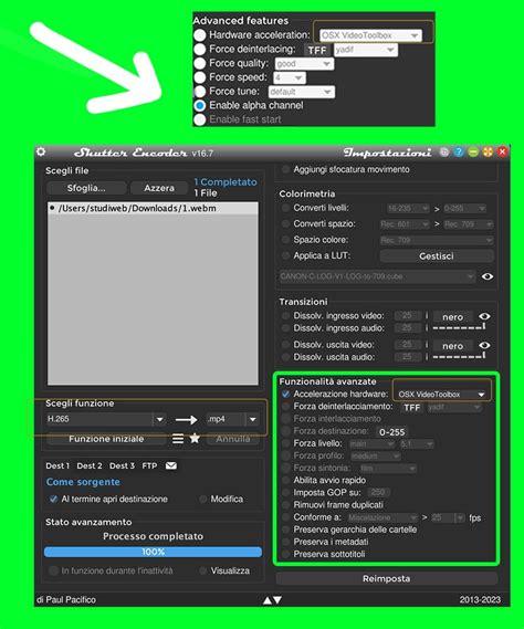 Image result for Shutter Encoder WebM With Alpha