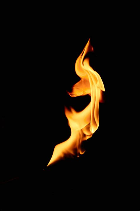 Image result for Free Fire Animation