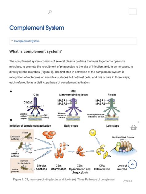 Image result for Complement System Electron Microscope