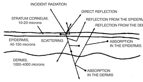 Image result for Refraction Reflection Absorption Scattering