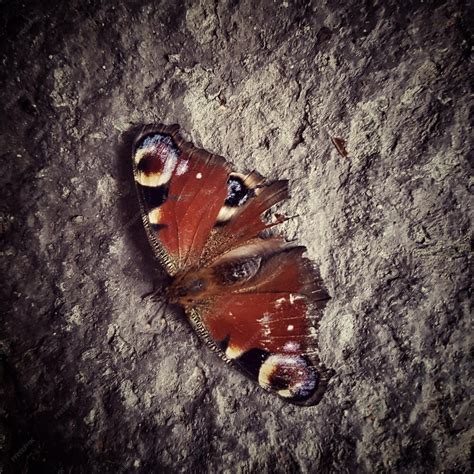 Image result for Container Snake Loading Method