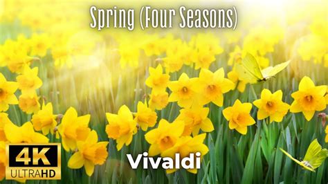 Image result for Vivaldi Spring Backing Tracks