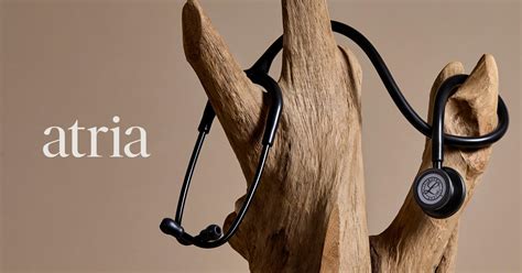 Image result for Calcium Sources