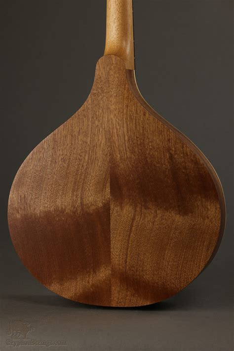 Image result for Nylon String Mandolin