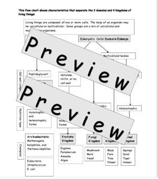 Image result for Biological Classification Emct Lesson Explanation