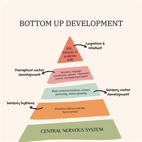 Image result for Persistent Primitive Reflex