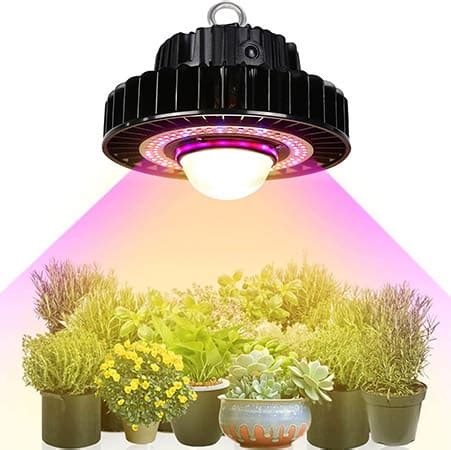 Image result for Cob LED Grow