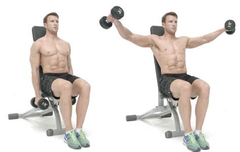 Image result for Side Lateral Raises Form