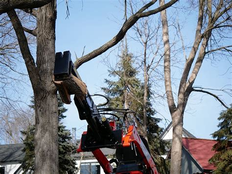 Image result for Mini Log Splitter